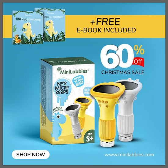 The DigiScope™ - digital microscope – MiniLabbies